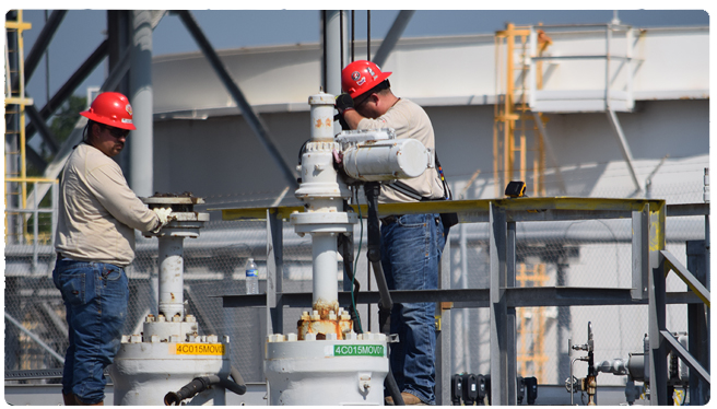 The Strategic Petroleum Reserve