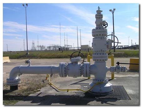 Strategic Petroleum Reserve - United States Department of Energy